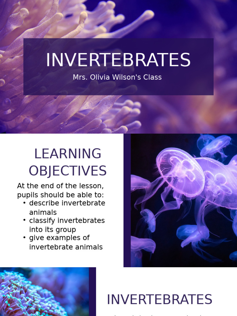 Science Invertebrate Animals Educational Presentation in Deep Purple ...