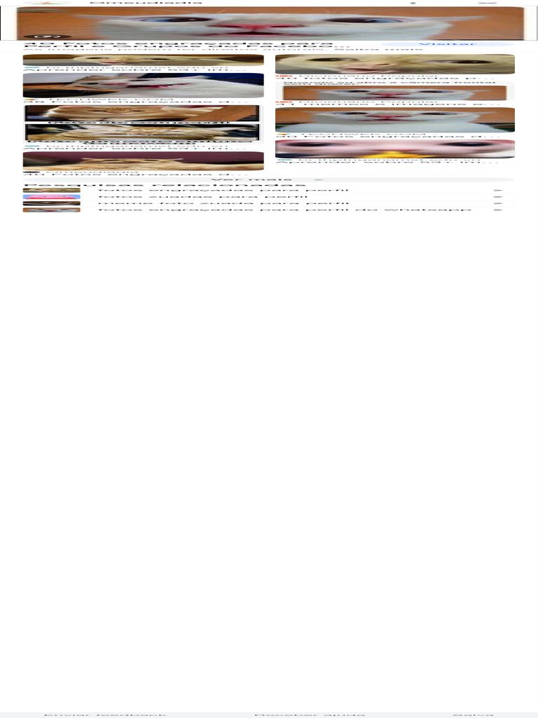 foto de perfil engraçada meme - Pesquisa Google | PDF