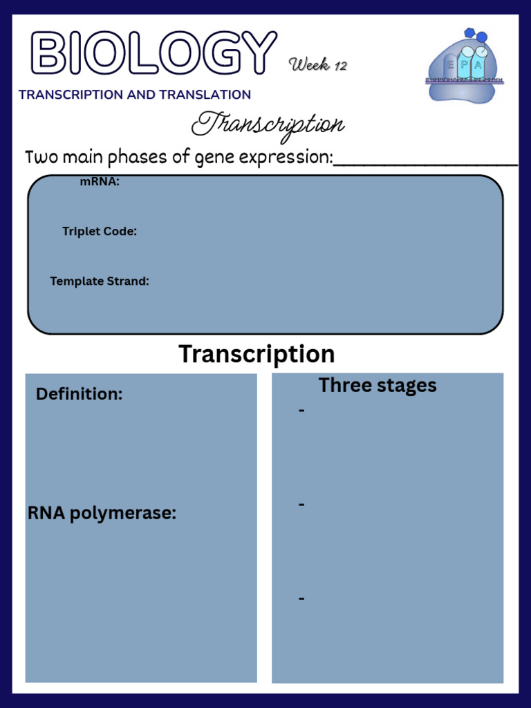 Transcription and Translation in Biology | PDF | Translation (Biology ...