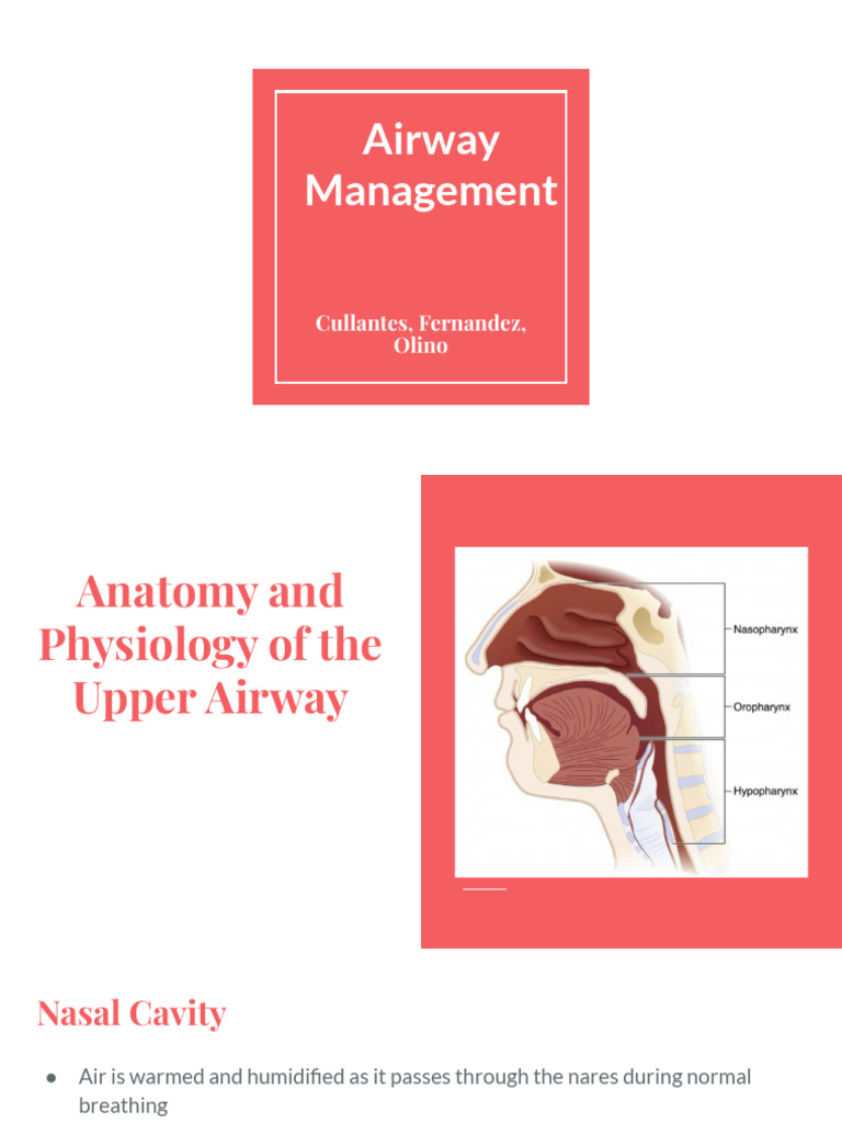 Airway Management Techniques and Assessment | PDF | Larynx ...