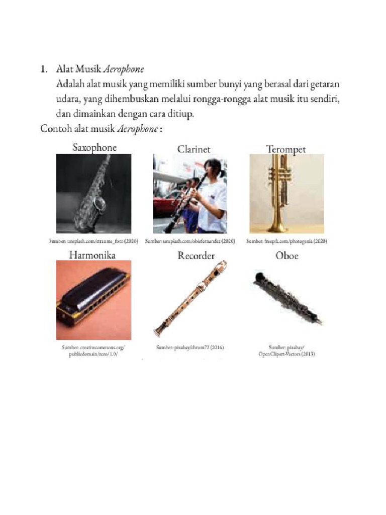 Alat Musik | PDF