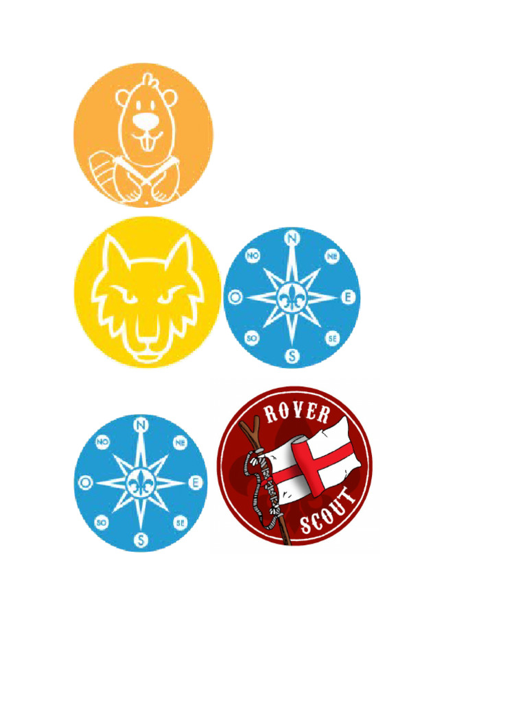 Insignias Scout | PDF