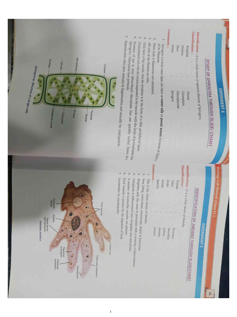 Biology Practical Pdf