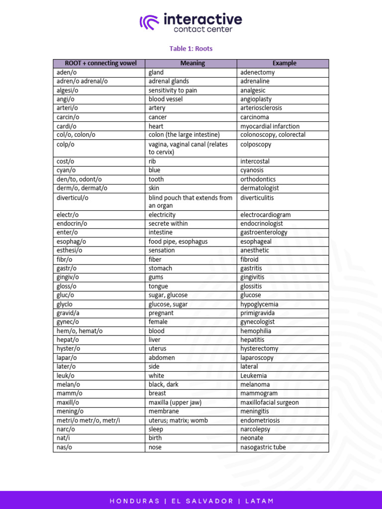 Roots and Affixes | PDF | Esophagus | Large Intestine