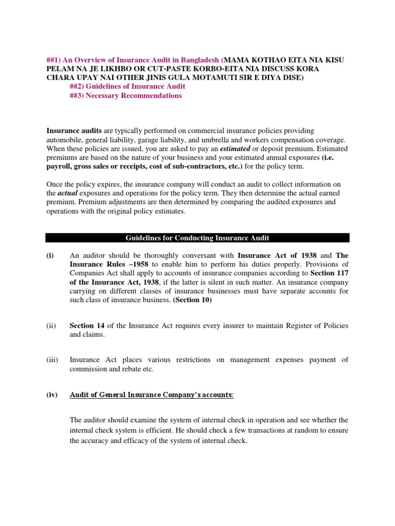 Insurance Audit Guidelines and Recommendations | PDF | Reinsurance ...