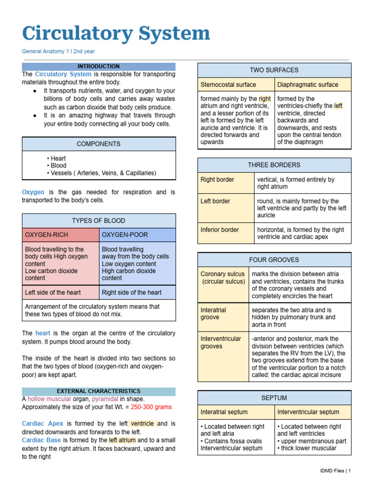 Circulatory System | PDF | Heart Valve | Heart