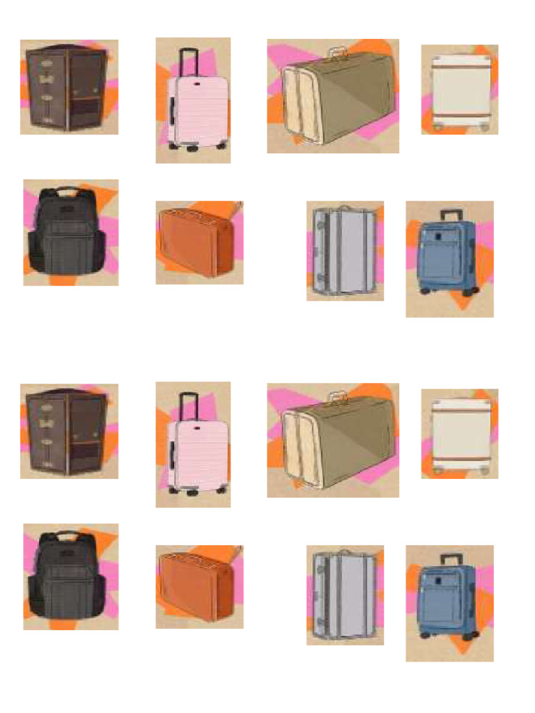 WS Suitcase - History | PDF