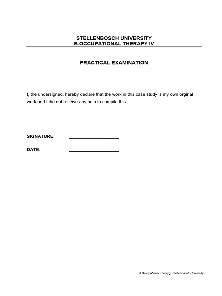 Form 1 Declaration of Own Work | PDF