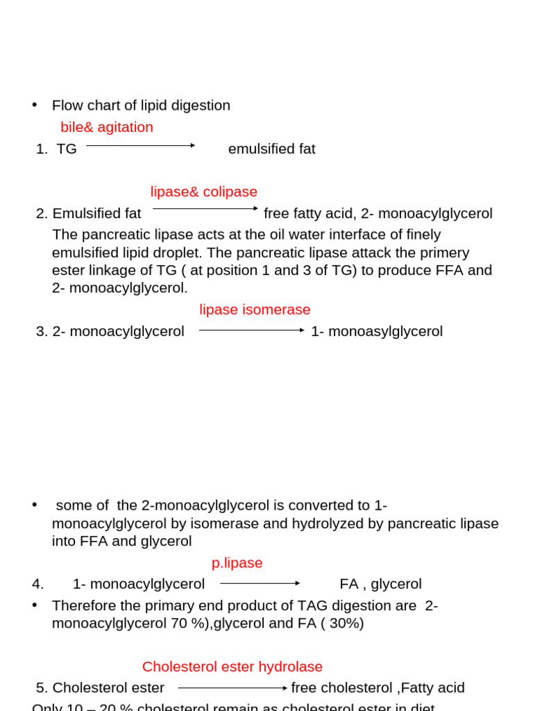 Lipid Digestion & Absorption | PDF | Cholesterol | Bile