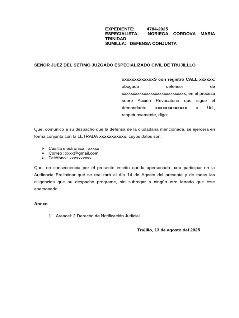Defensa Conjunta | PDF