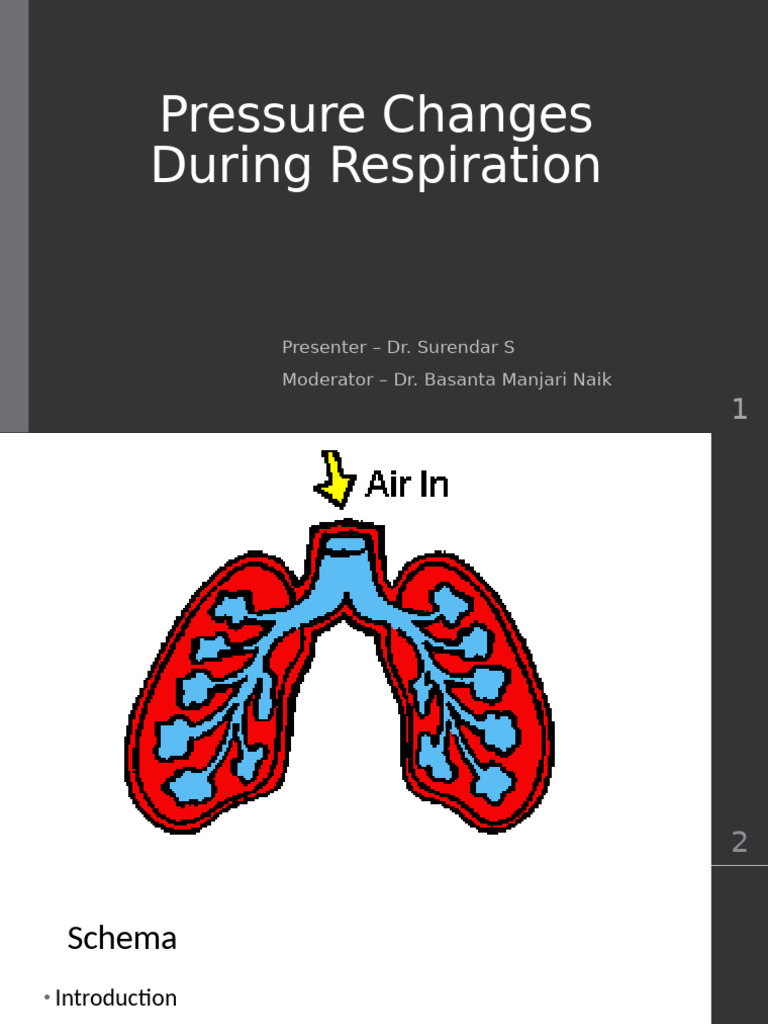 Pressure Changes in Respiration Mechanics | PDF | Respiratory System ...