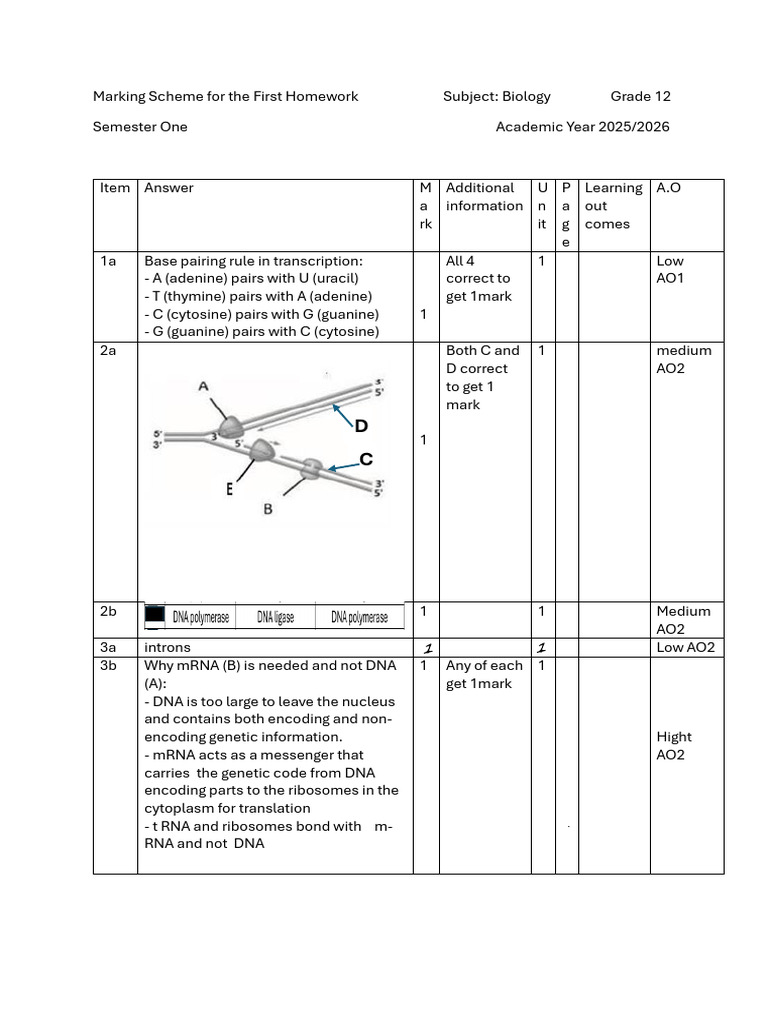 Marking Scheme For The First Homework Subject | PDF