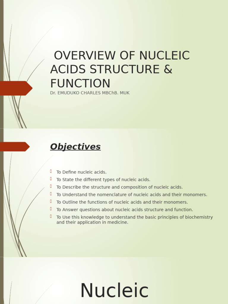 Nucleic Acids: Structure and Function | PDF | Nucleotides | Nucleic Acids
