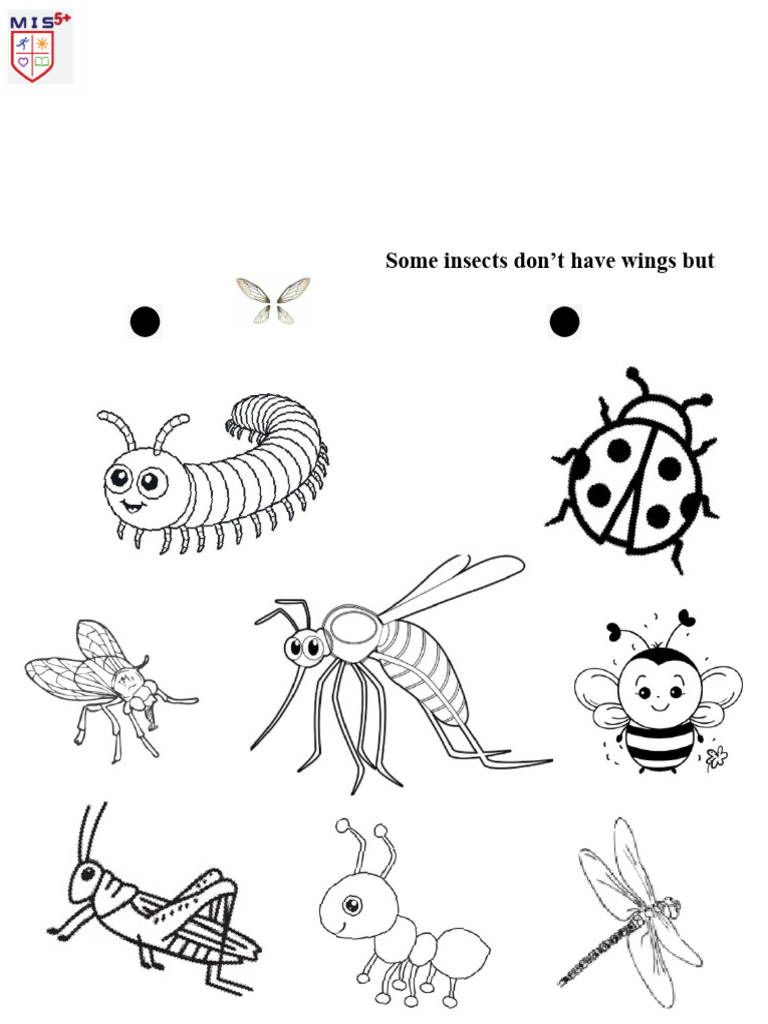 Insect Anatomy and Diet Overview | PDF