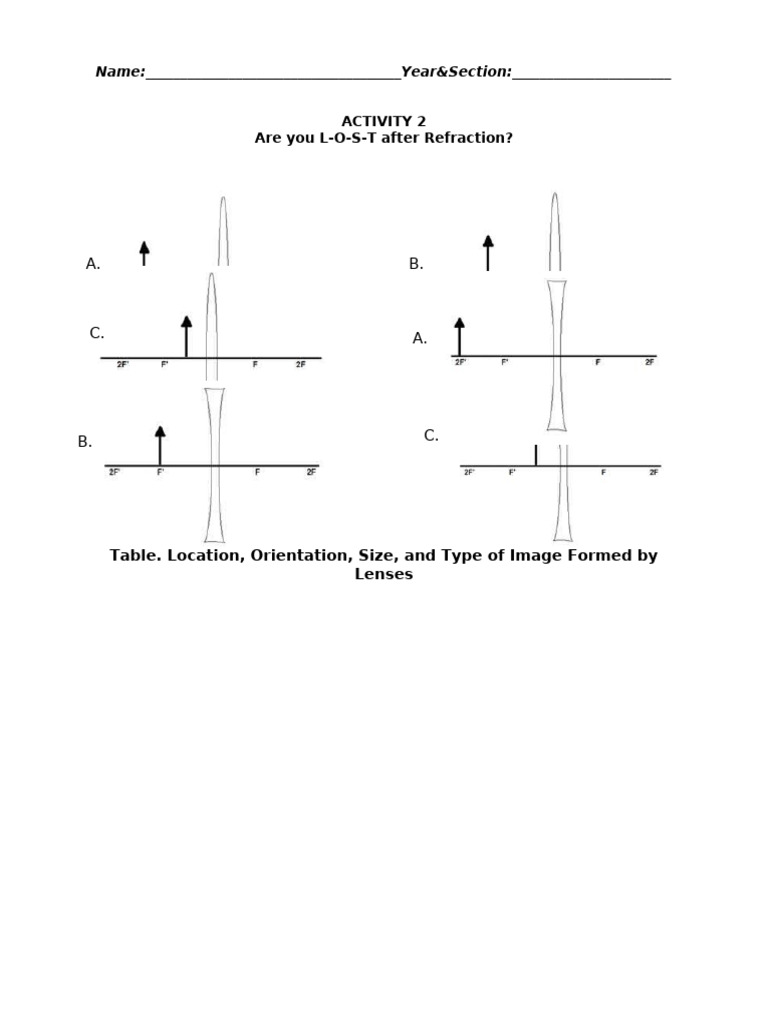Activity Lenses | PDF
