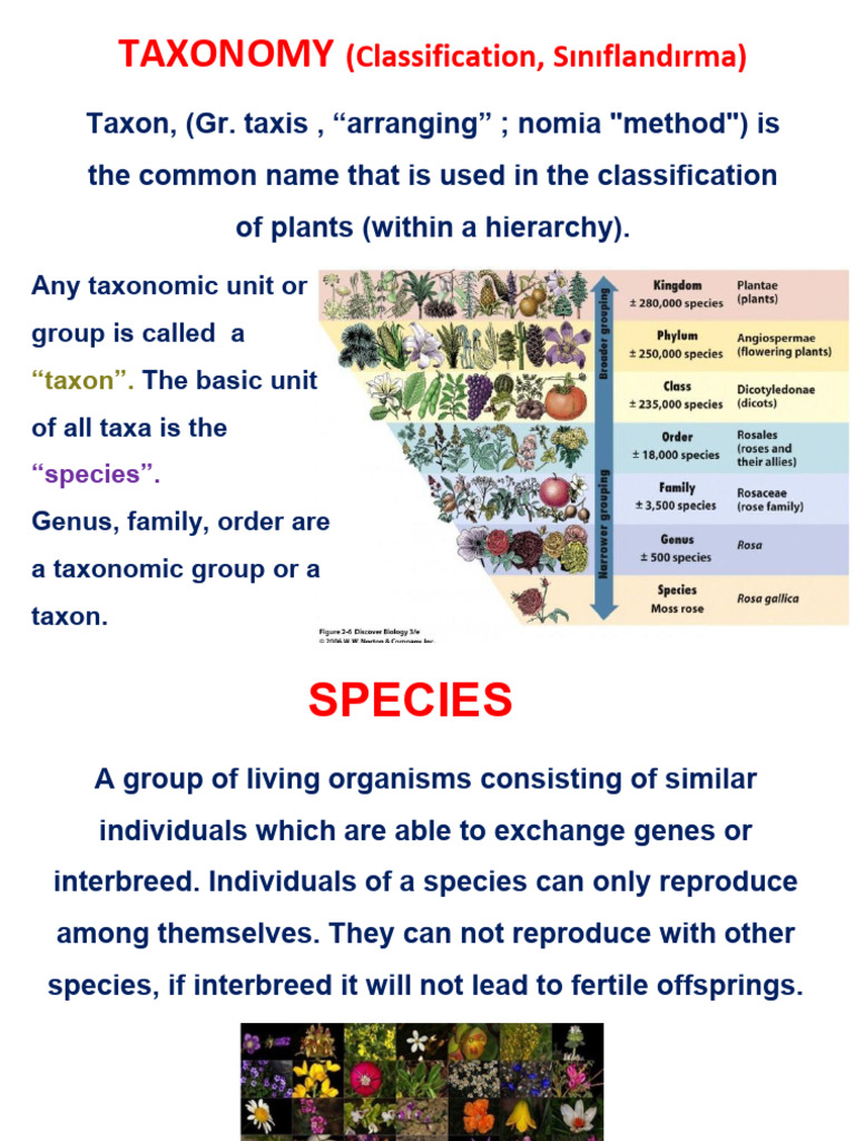 Plant Biology Classification 1 | PDF | Genus | Taxonomy (Biology)