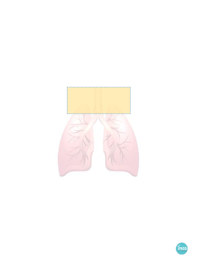 Asthma Management Case Study Analysis | PDF | Asthma | Respiratory System