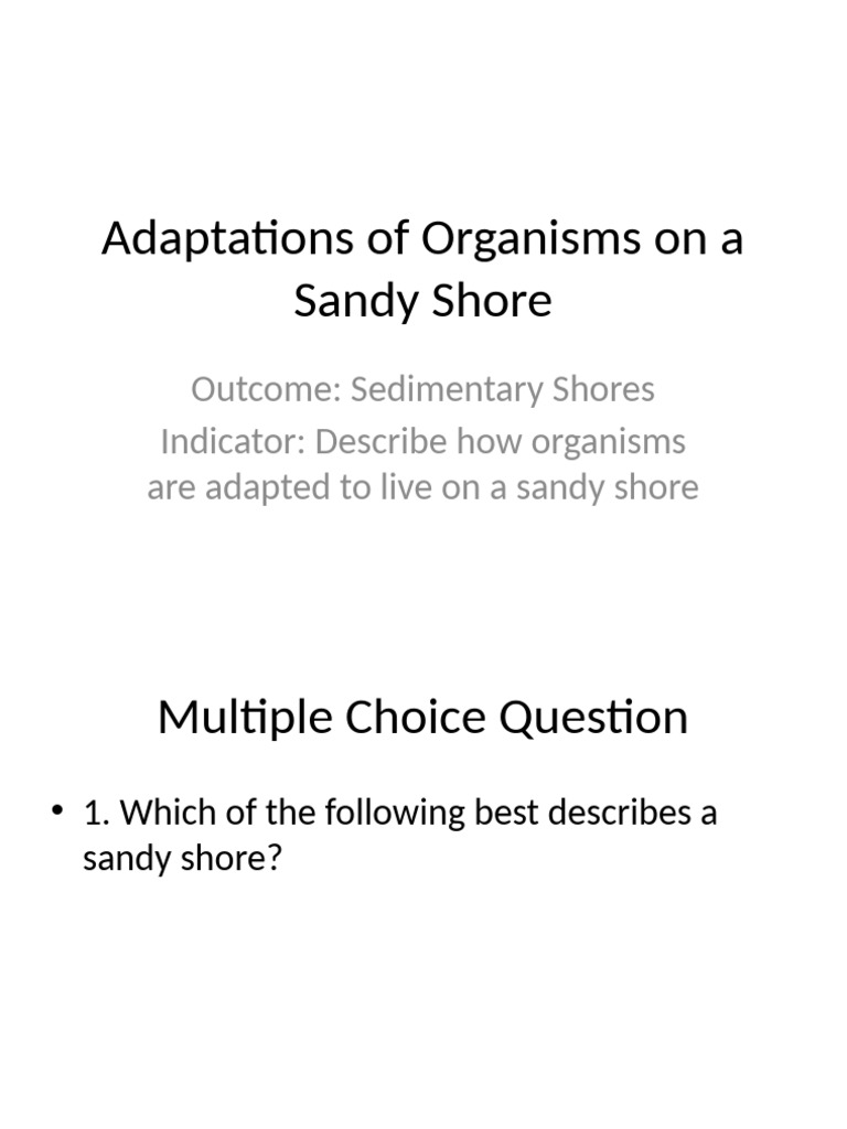 Sandy Shore Adaptations Quiz | PDF | Coast | Earth Sciences