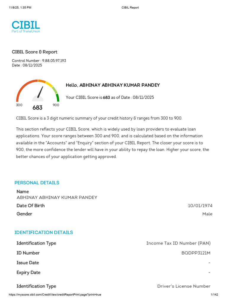 Cibil Report Abhinay Abhinay Kumar Pandey | PDF | Credit | Finance ...
