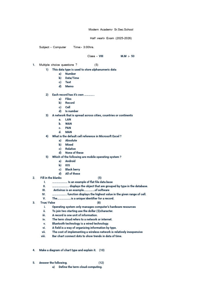 Computer Exam Paper for Class VIII | PDF | Databases | Microsoft Excel