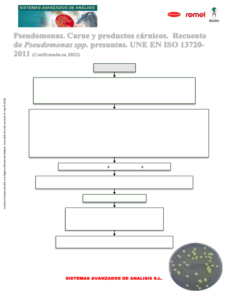 P Aeruginosa en Carnes UNE EN ISO 13720-2011 | PDF | Microbiología