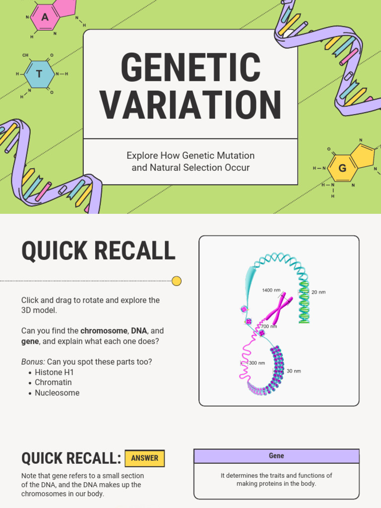 Genetic Variation Education Presentation in Light Green Purple ...