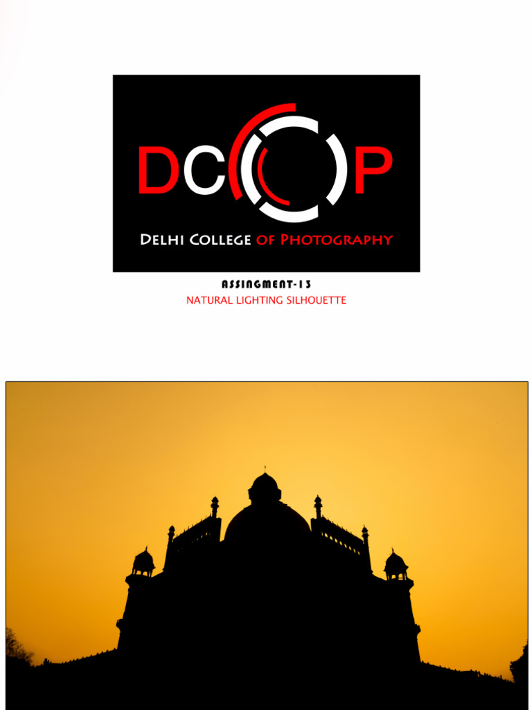 Assignment 13 (NATURAL LIGHTING SILHOUETTE) | PDF