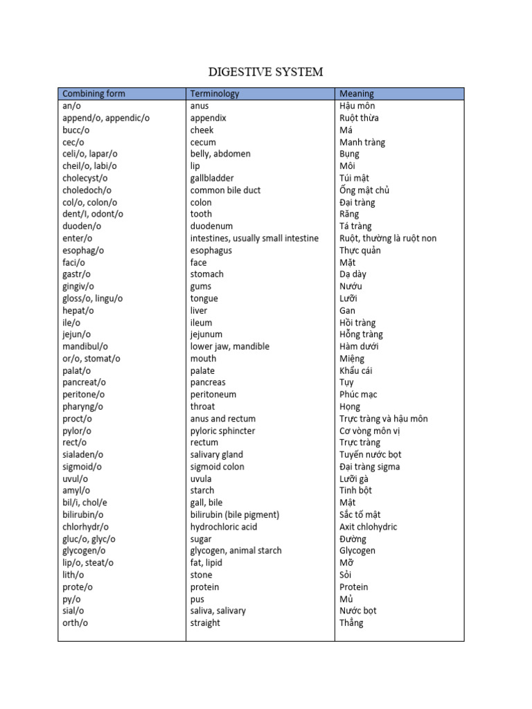 Digestive and Urinary System Handout | PDF | Kidney | Organ (Anatomy)