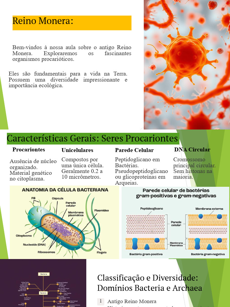 Características do Reino Monera e Procariontes | PDF | Bactérias | Archaea