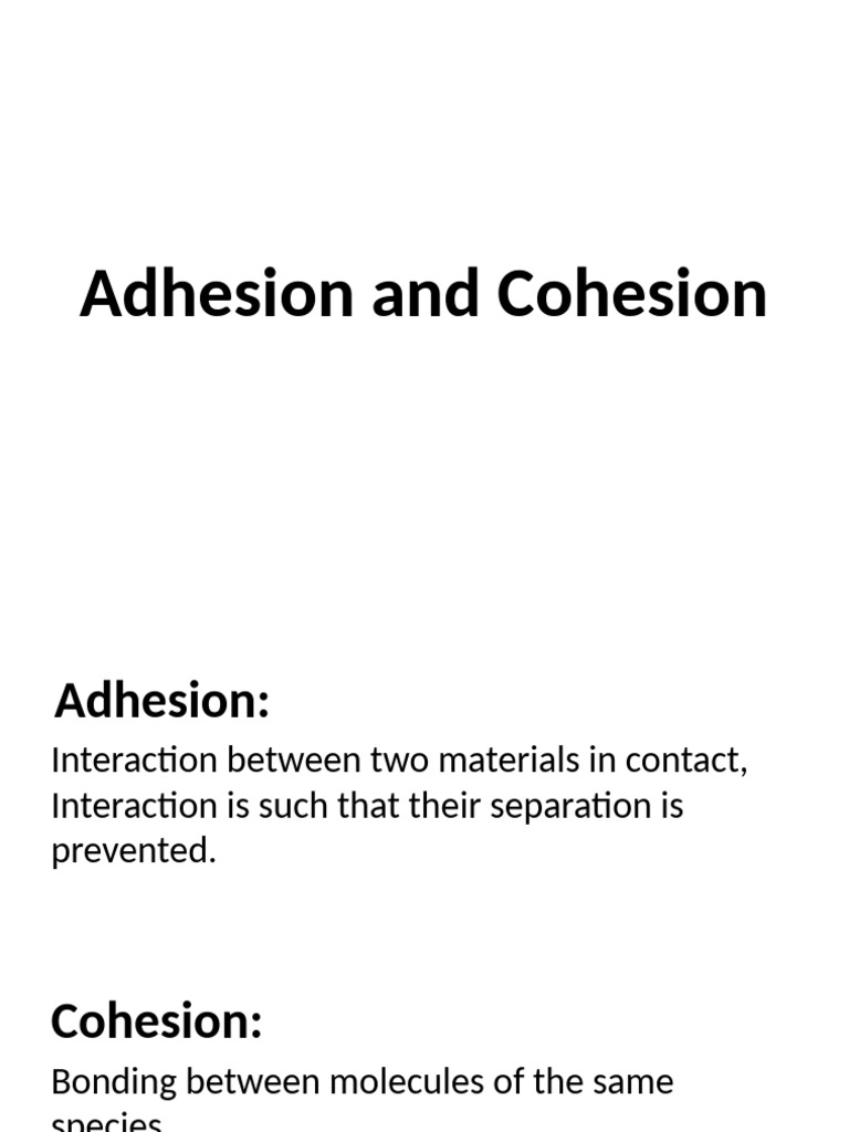 Adhesion and Cohesion | PDF | Viscosity | Liquids