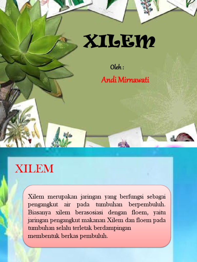 XILEM | PDF | Kajian Bahasa Asing