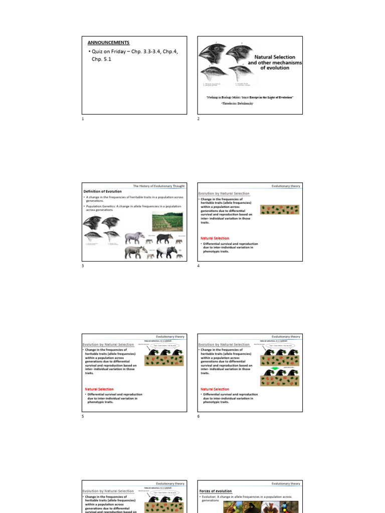 BIO101 Lecture10 Evolution Cell Anatomy | PDF | Natural Selection | Endoplasmic Reticulum