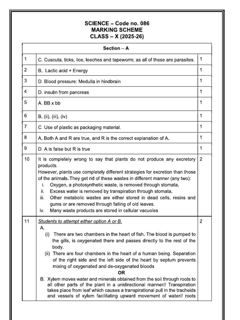 Sample Paper Grade 10 Science | PDF