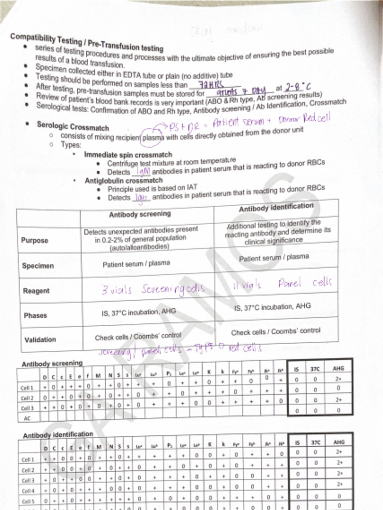 BB Scan Antibody Panel | PDF
