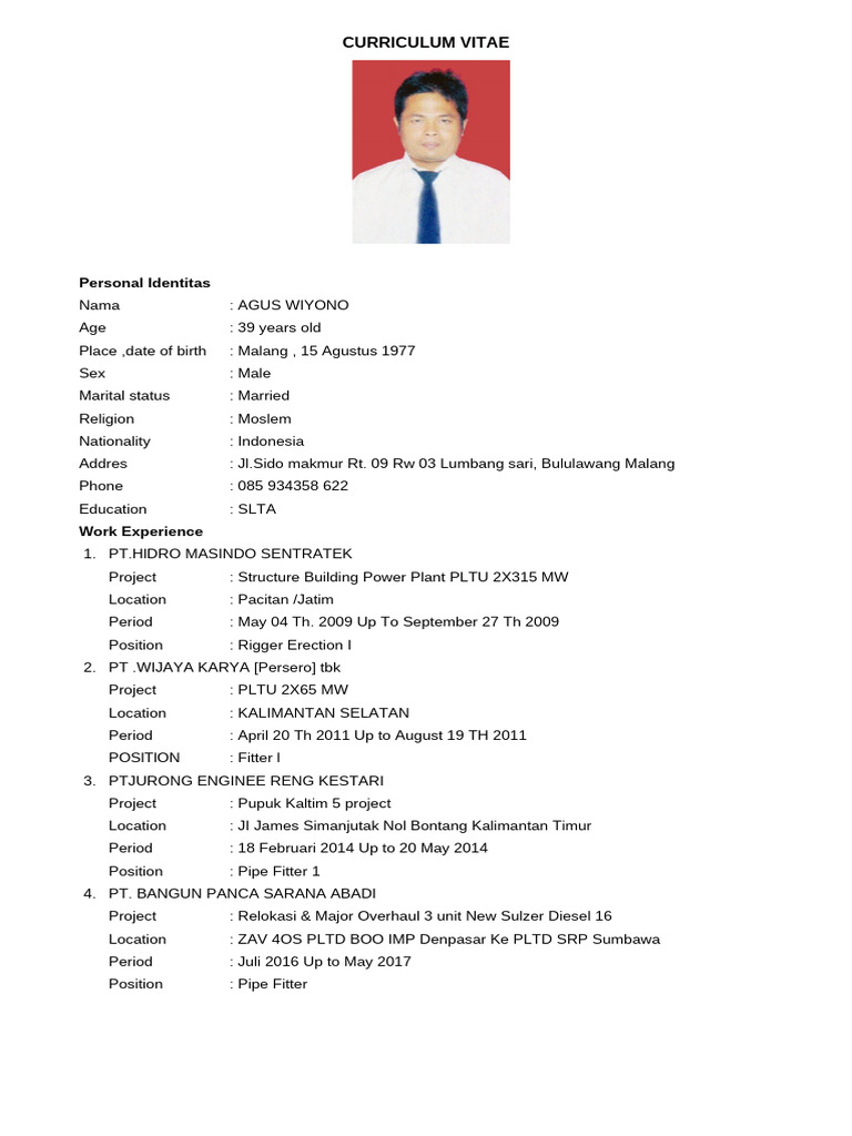 Curriculum Vitae | PDF