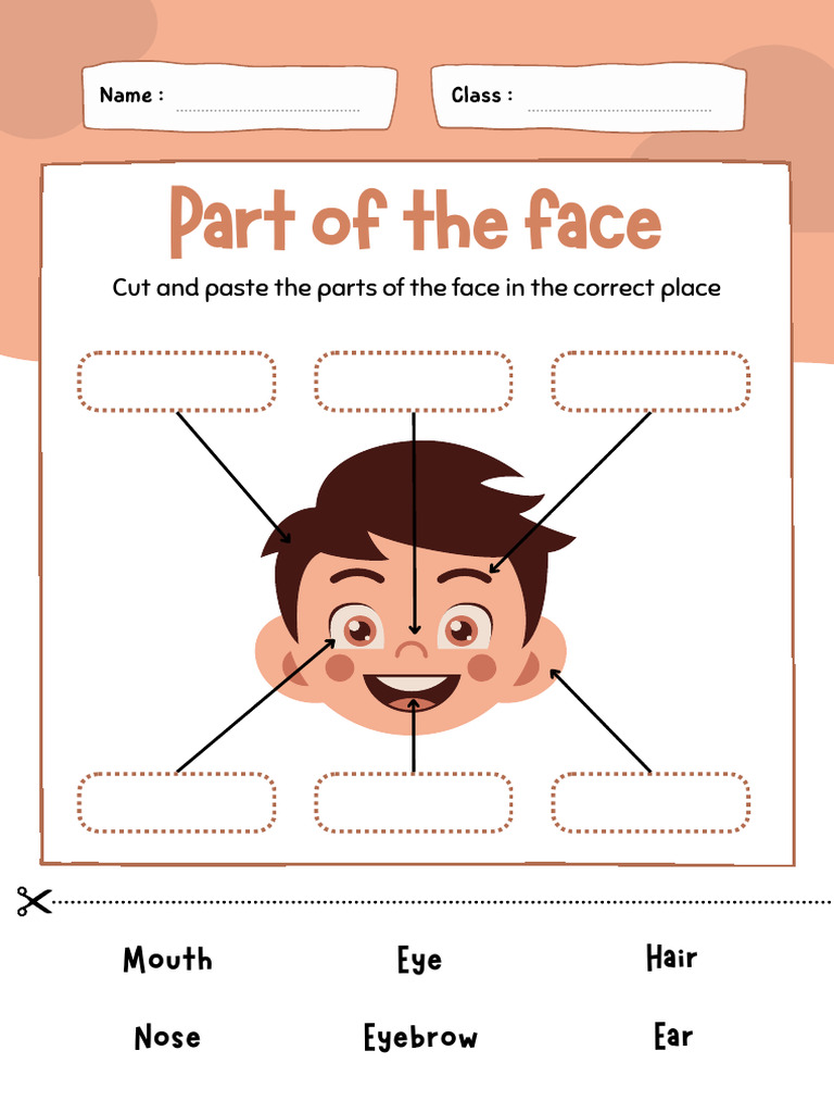 Match the Parts of Face Name Worksheet in Brown Illustrative Style | PDF