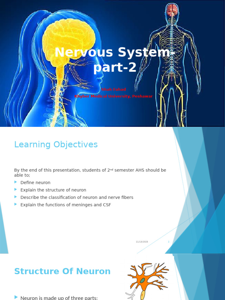 Week 1 Neurophysiology Part 2 | PDF | Axon | Neuron