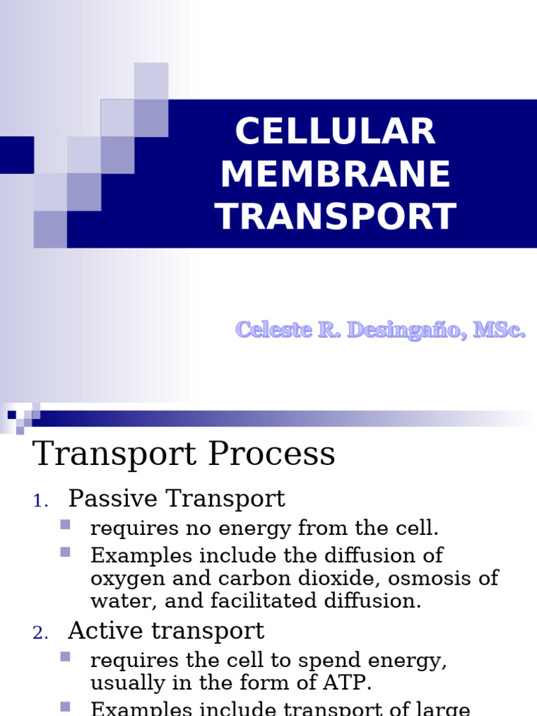 Cellular Transport | PDF | Osmosis | Cell Biology