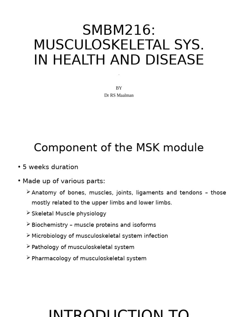 Musculoskeletal System Overview and Anatomy | PDF | Skeleton | Human ...