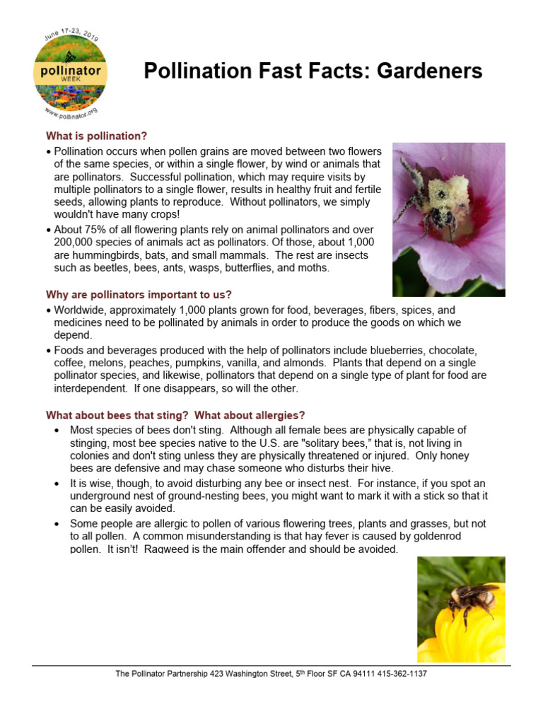 Pollination Fast Facts Gardeners 2019 | PDF | Pollination | Pollinators