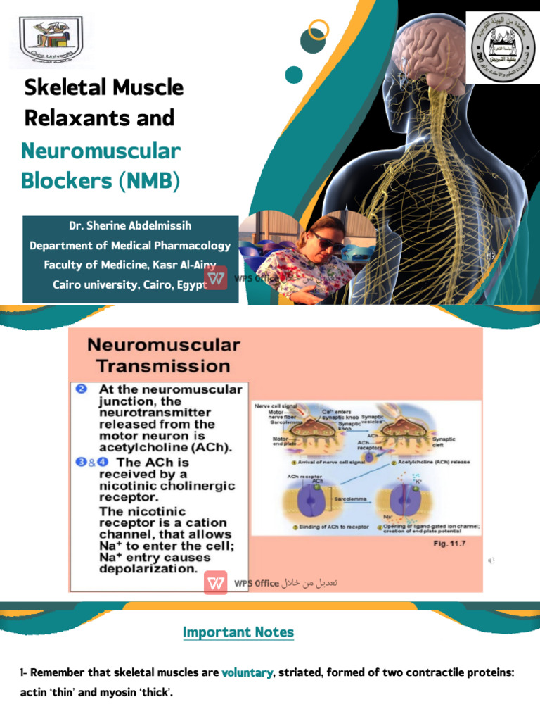 Skeletal Muscle Relaxants Overview | PDF | Muscle Contraction | Drugs