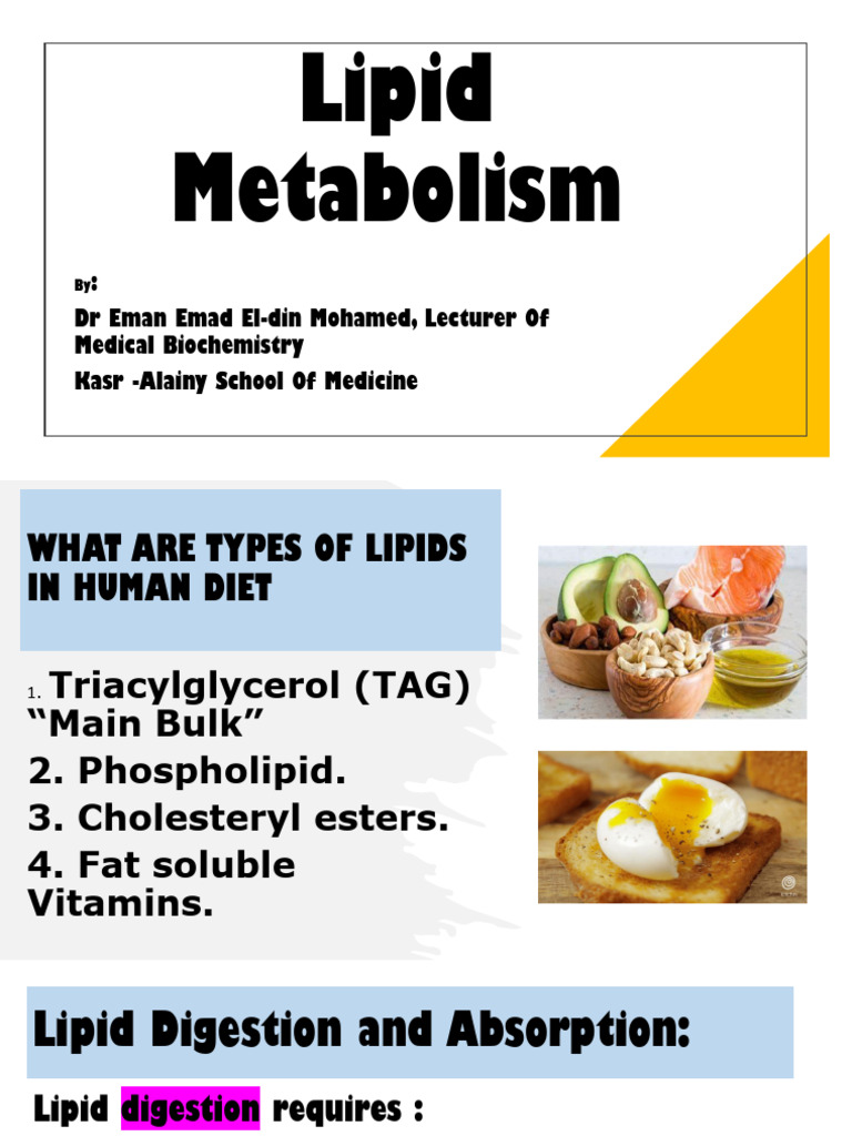 Lec5 Biochemistry - Lipid Metabolism | PDF | Lipoprotein | Ketosis