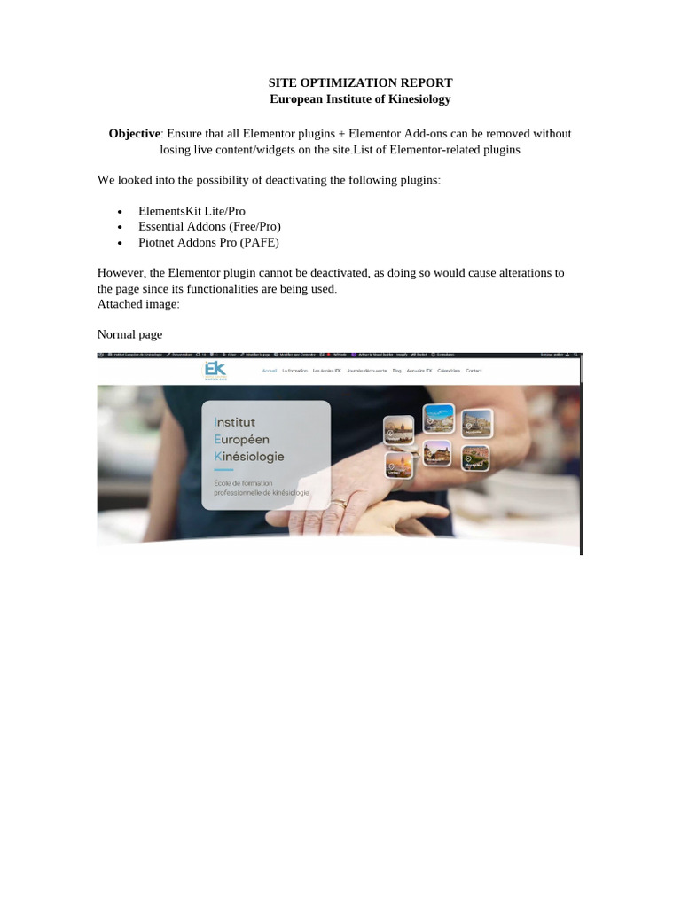 Elementor Plugin Optimization Report | PDF | Word Press | Computer Science