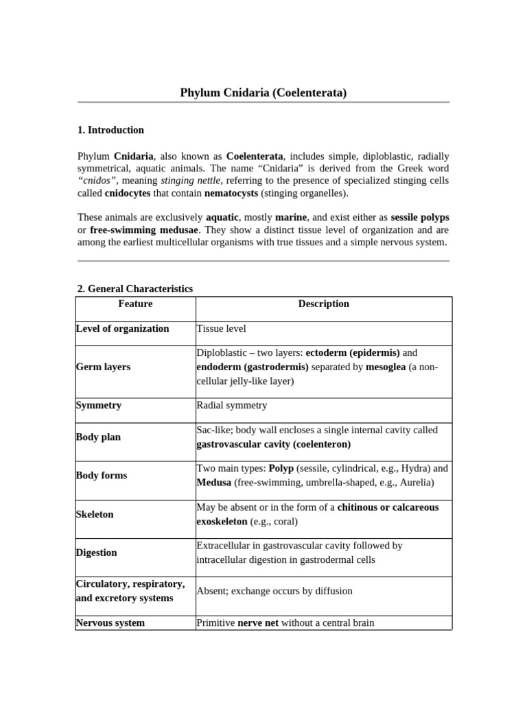 Phylum Cnidaria Lecture Notes | PDF | Coral | Venomous Animals