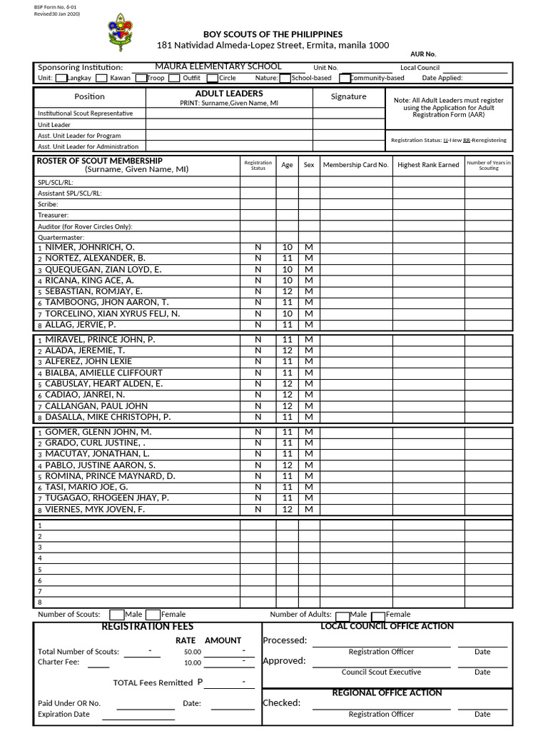 New-Aur (1) BSP REGISTRATION FORM | PDF | Youth Organizations | Girl ...