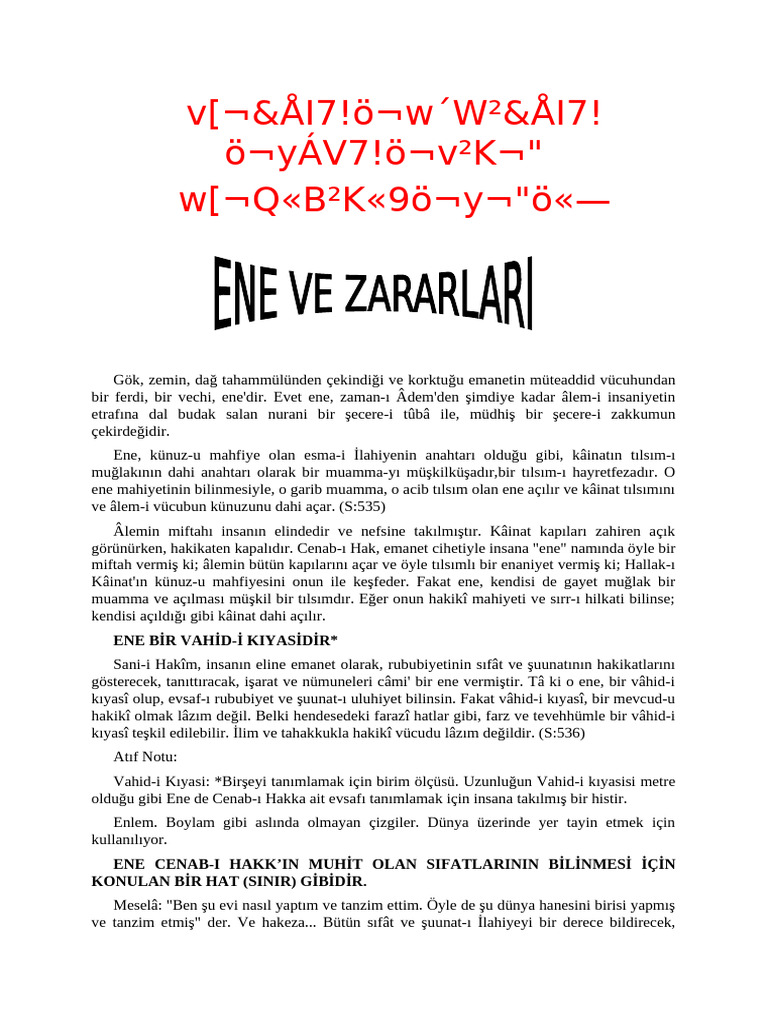 Ene Ve Zararlari | PDF
