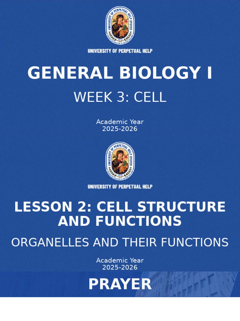 (BIO) Lesson 2 Cell Structure and Functions | PDF | Endoplasmic ...