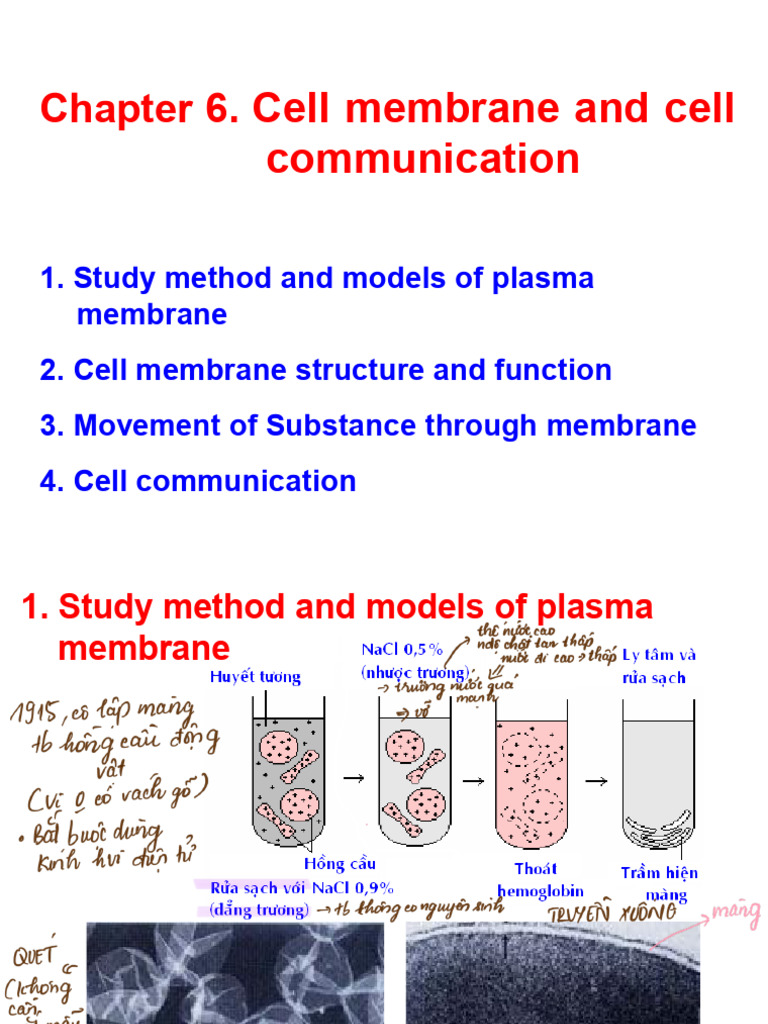 6 Cell Membrane 25 | PDF | Cell Membrane | Cell Signaling