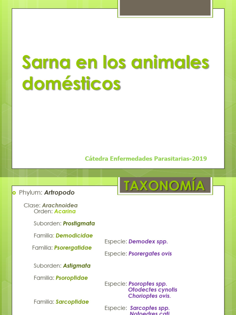 Sarna en Ov Bov Equ Por | PDF