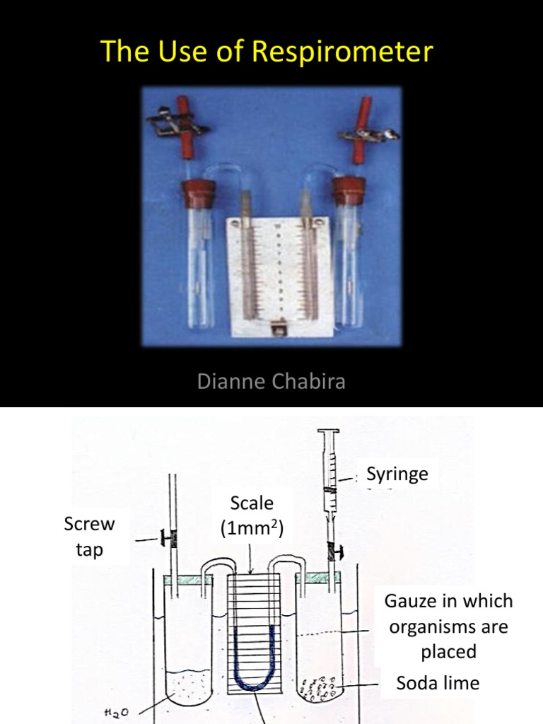 Respirometer Function and Analysis | PDF | Carbon Dioxide | Respiratory ...